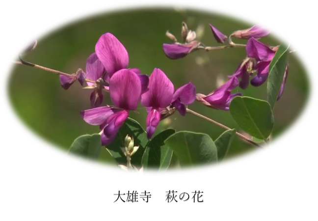 9月例会『即席スピーチ』 - ITC-J飛騨高山クラブ