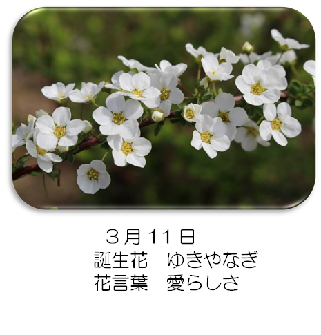 3月例会『ビブリオバトル』 - ITC-J飛騨高山クラブ