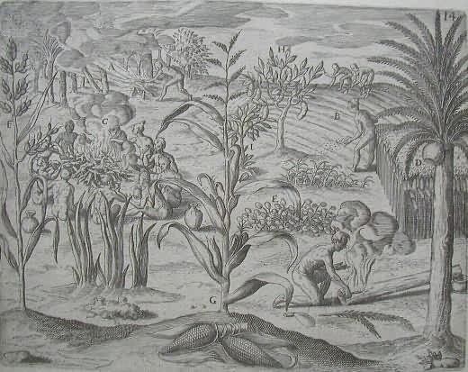 Al Masudi 916 - pieterderideaux