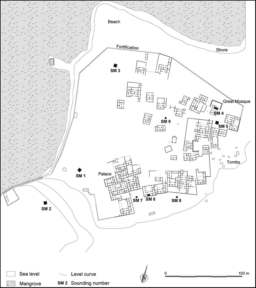 Vamizi (Songo Mnara) - pieterderideaux