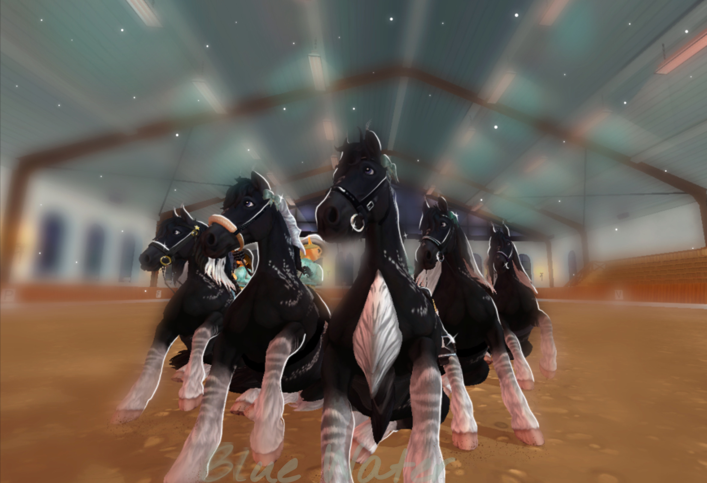 Willkommen auf der Webseite der Blue Water