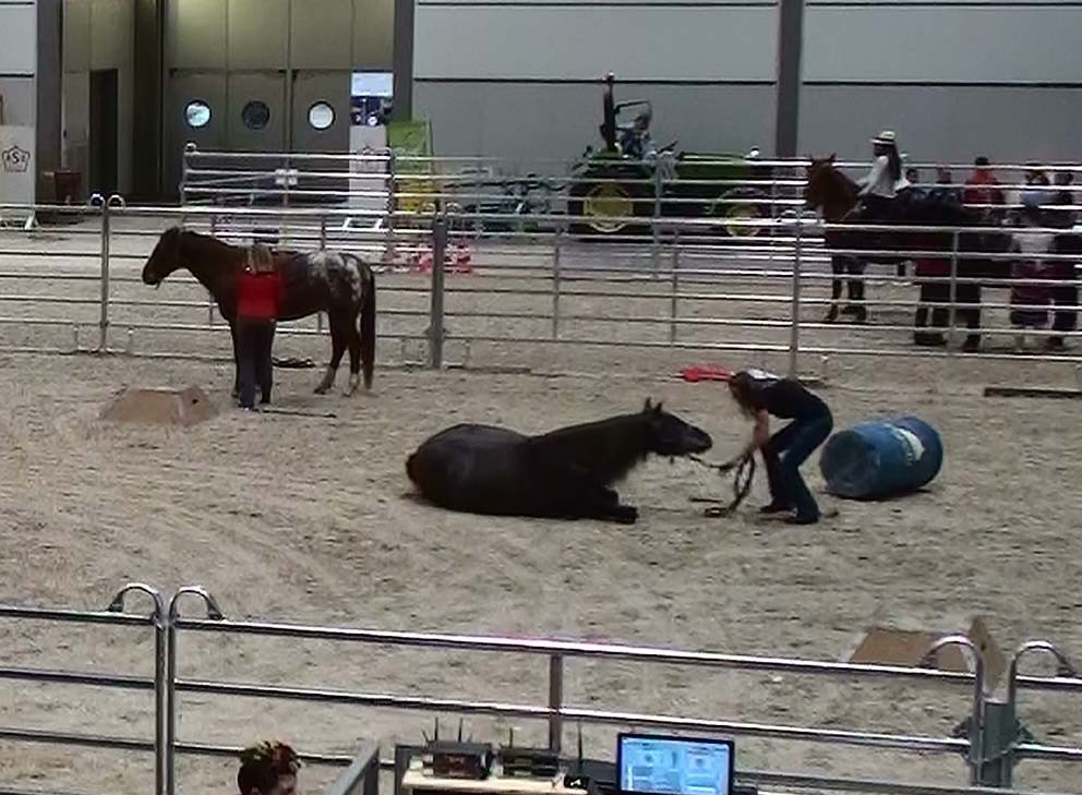 Über mich*um mig - vickyls Webseite!