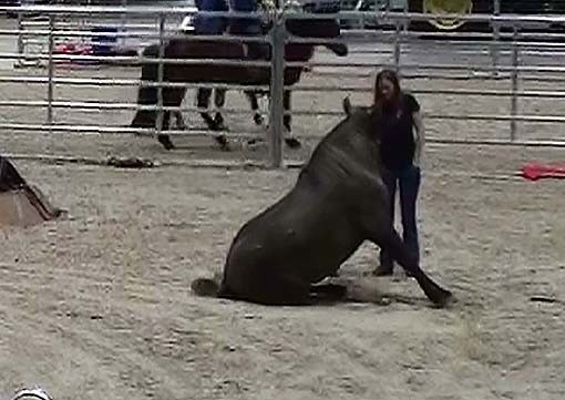 Über mich*um mig - vickyls Webseite!