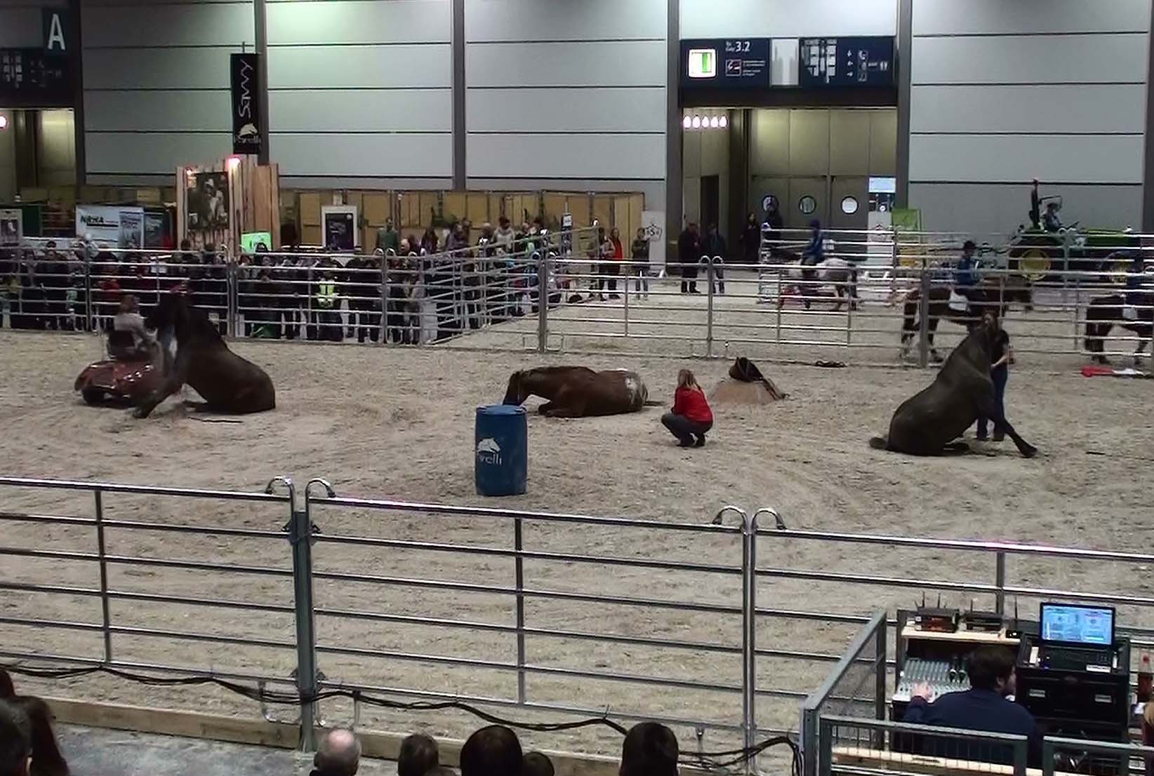 Über mich*um mig - vickyls Webseite!