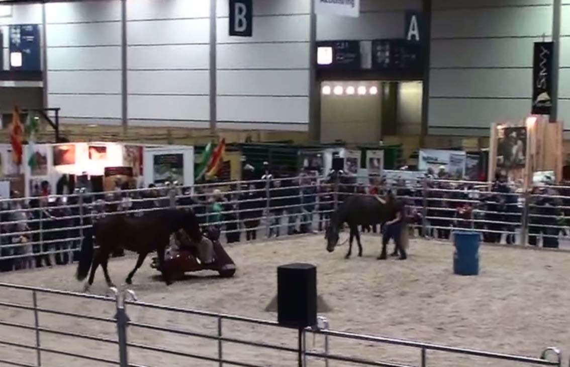 Über mich*um mig - vickyls Webseite!