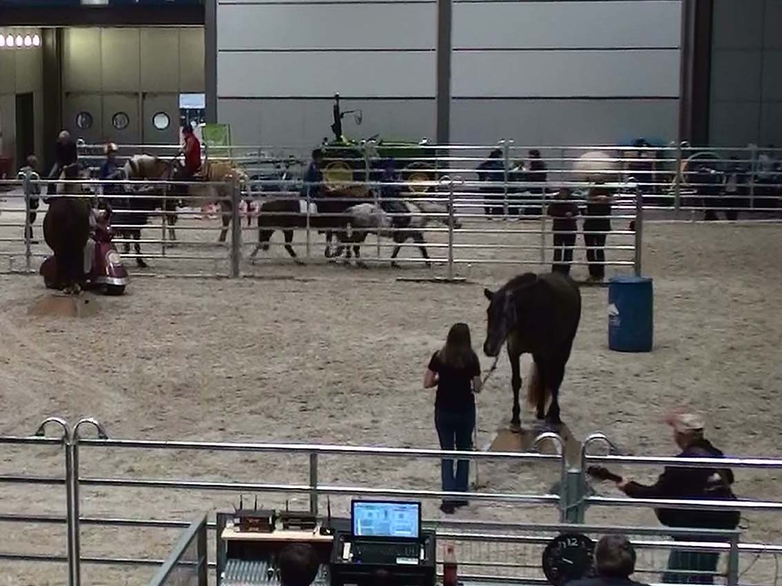 Über mich*um mig - vickyls Webseite!