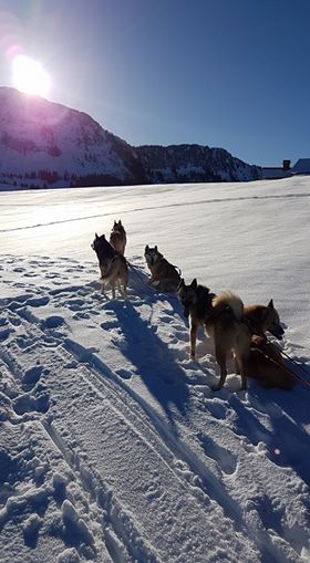 site de d'Oumiak Aventures - D'Oumiak Aventures