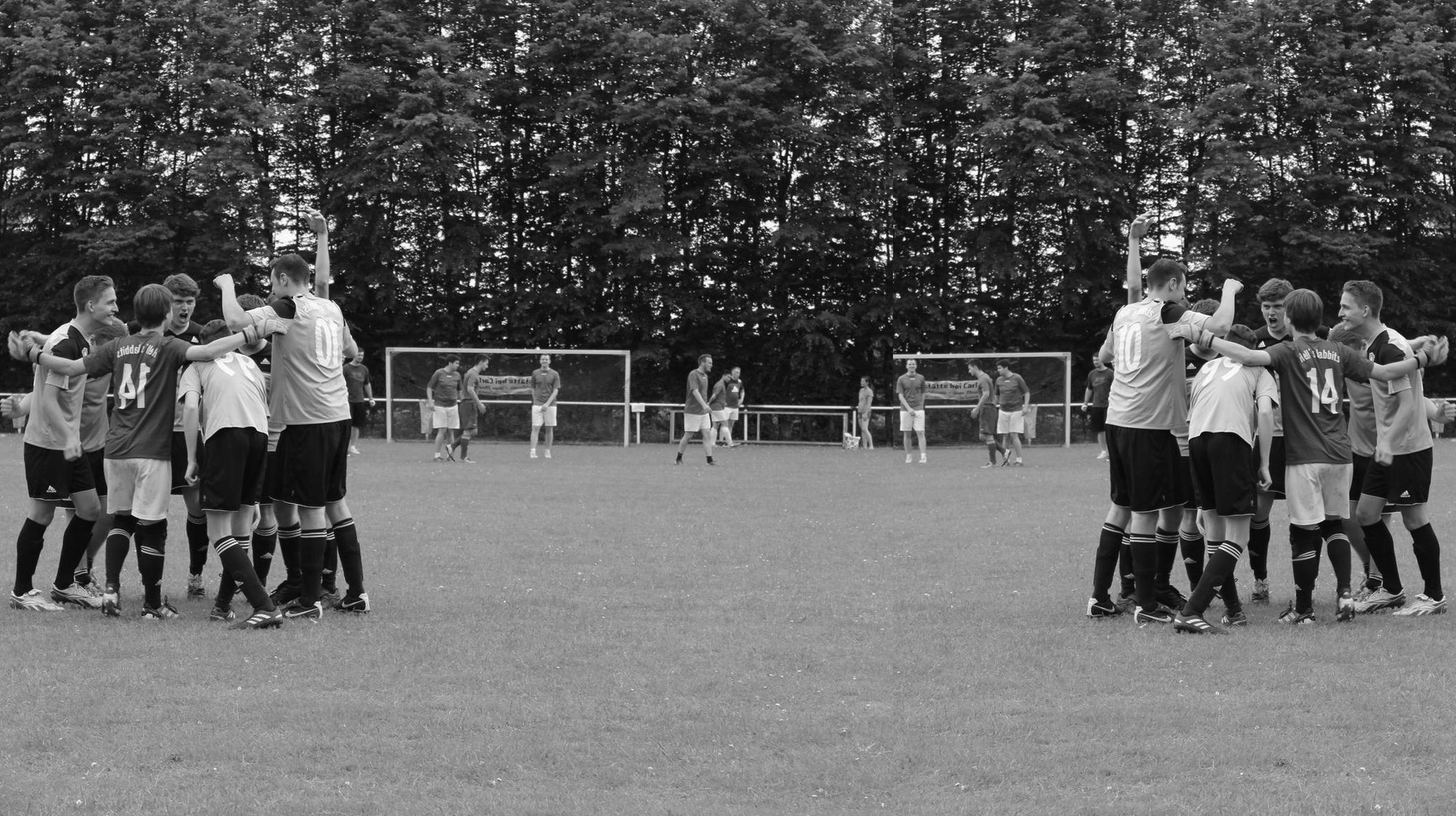 Videos - Hell's Rabbits