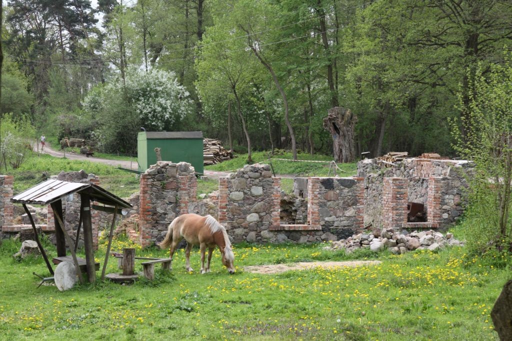 Wassermühlenruine Treplin - Mühlen Brandenburg