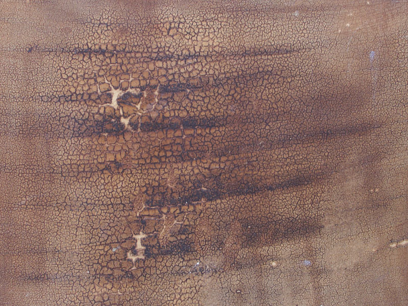 Vintagelook mit Reisslacktechnik - Alina Cesár