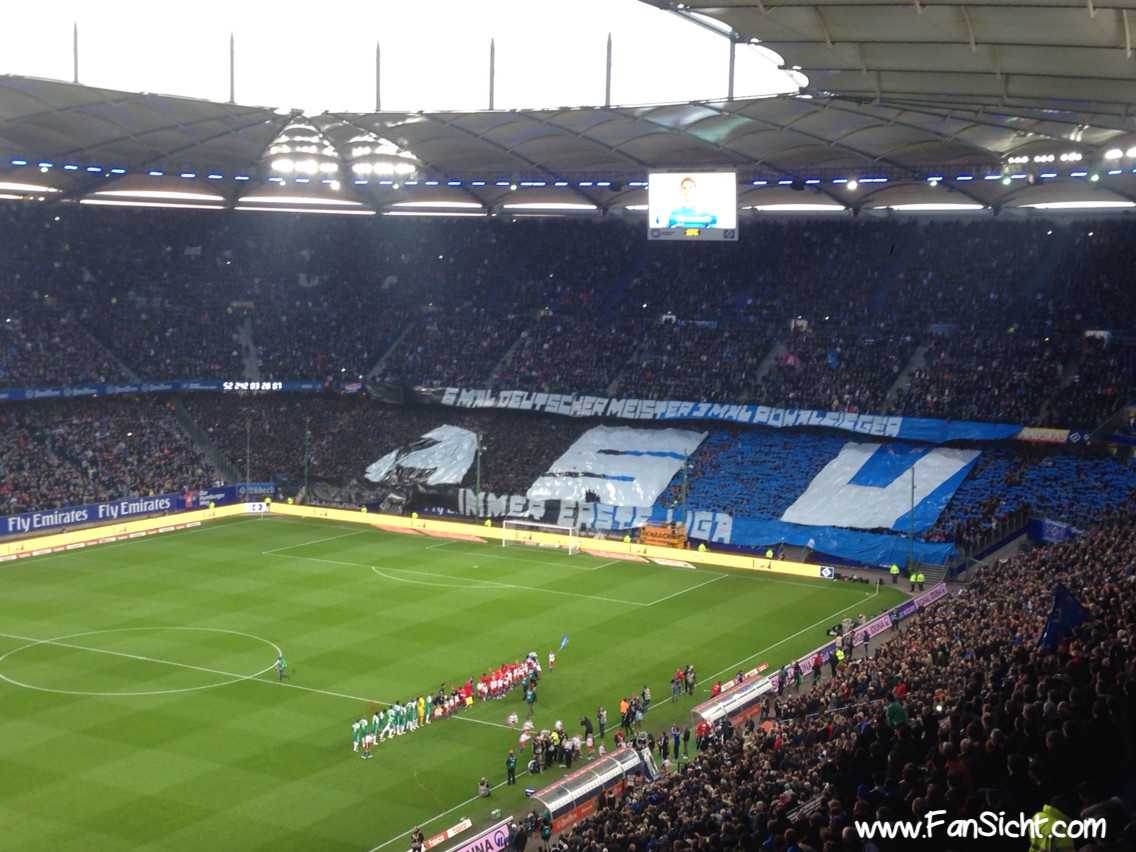 Fan-Choreos - FanSicht - Dein Blick aufs Spielfeld!