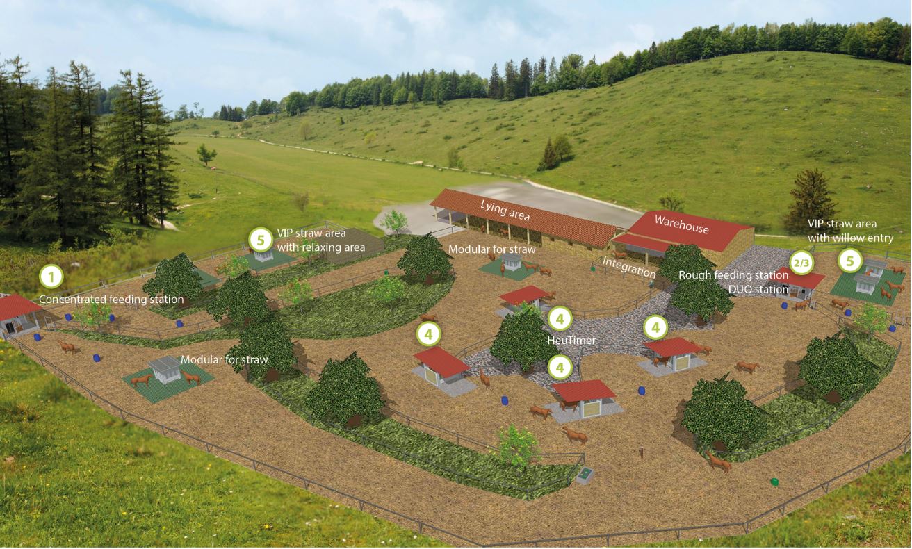 Modern and animal-friendly activ horse stable - Active Horse Systems