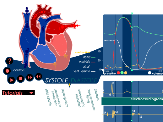 Simulador de Ciclo Cardiaco - Nasajpg.com