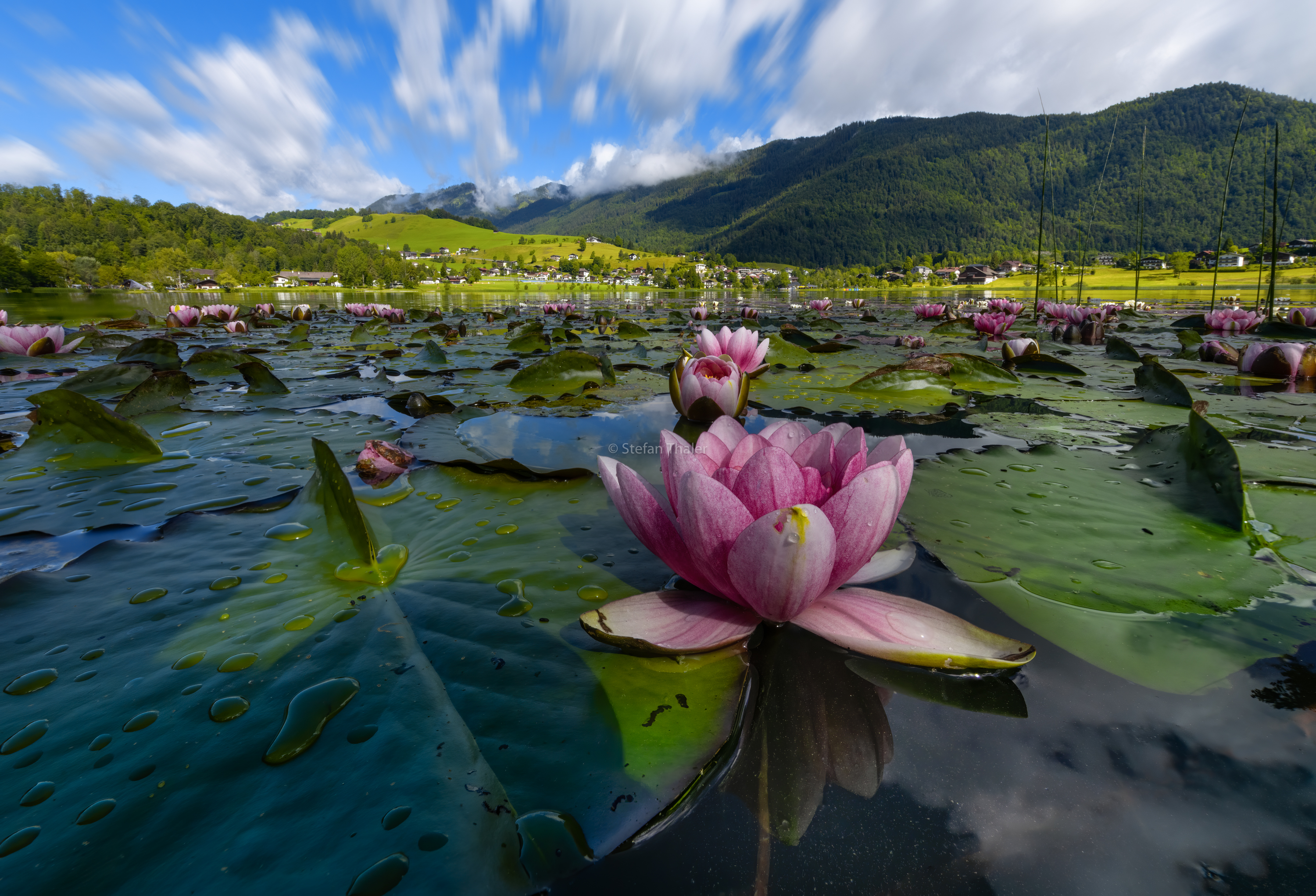 start - thalerstefans Webseite!