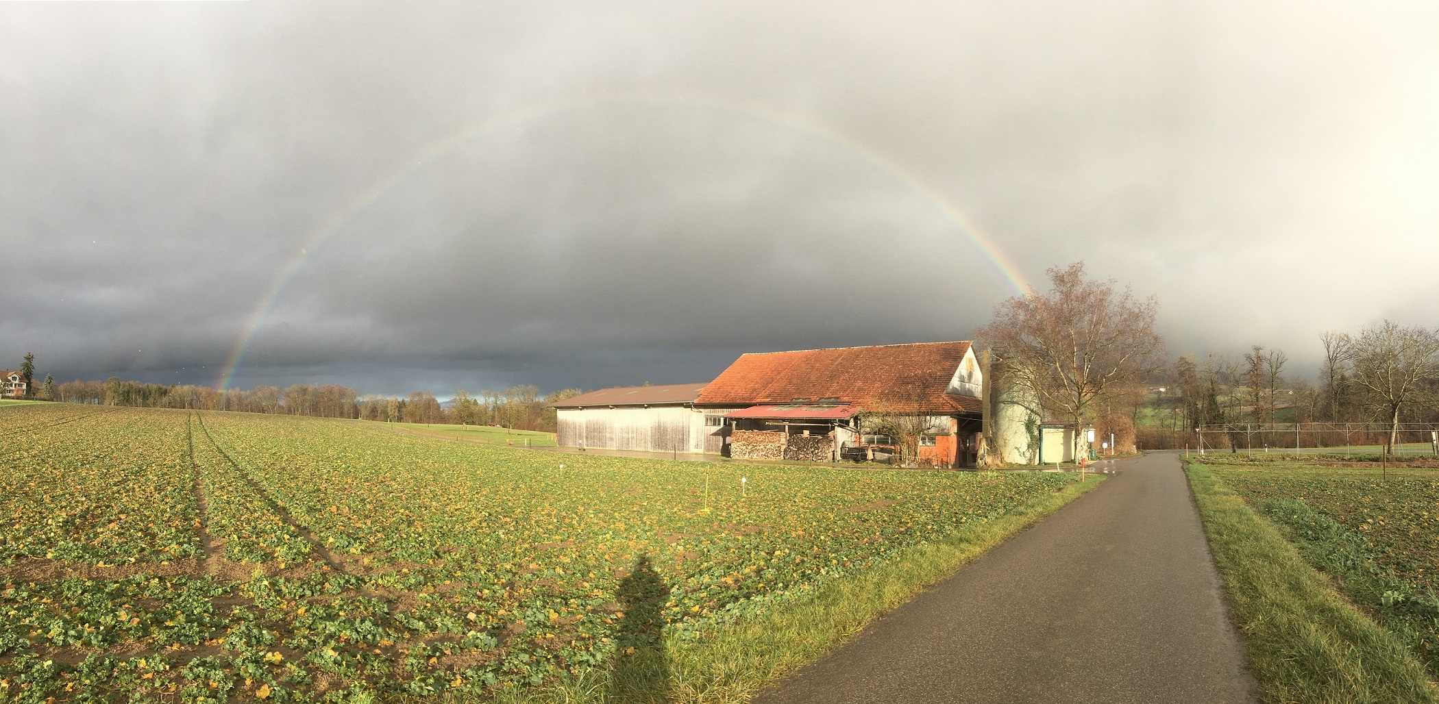 Impressionen - Hofladen Hochstross