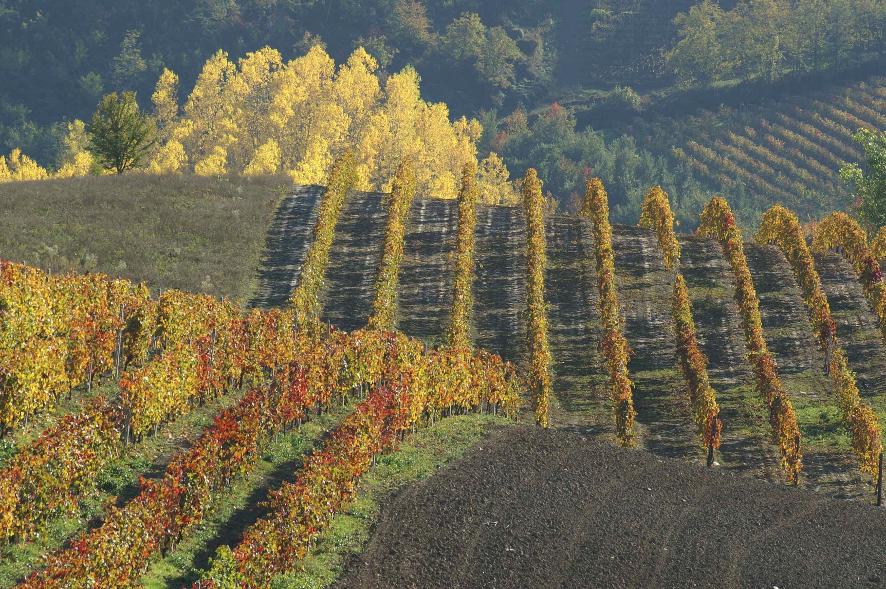 Colline del Monferrato Monferrato Hills - Benvenuti su albertomaffiotti!