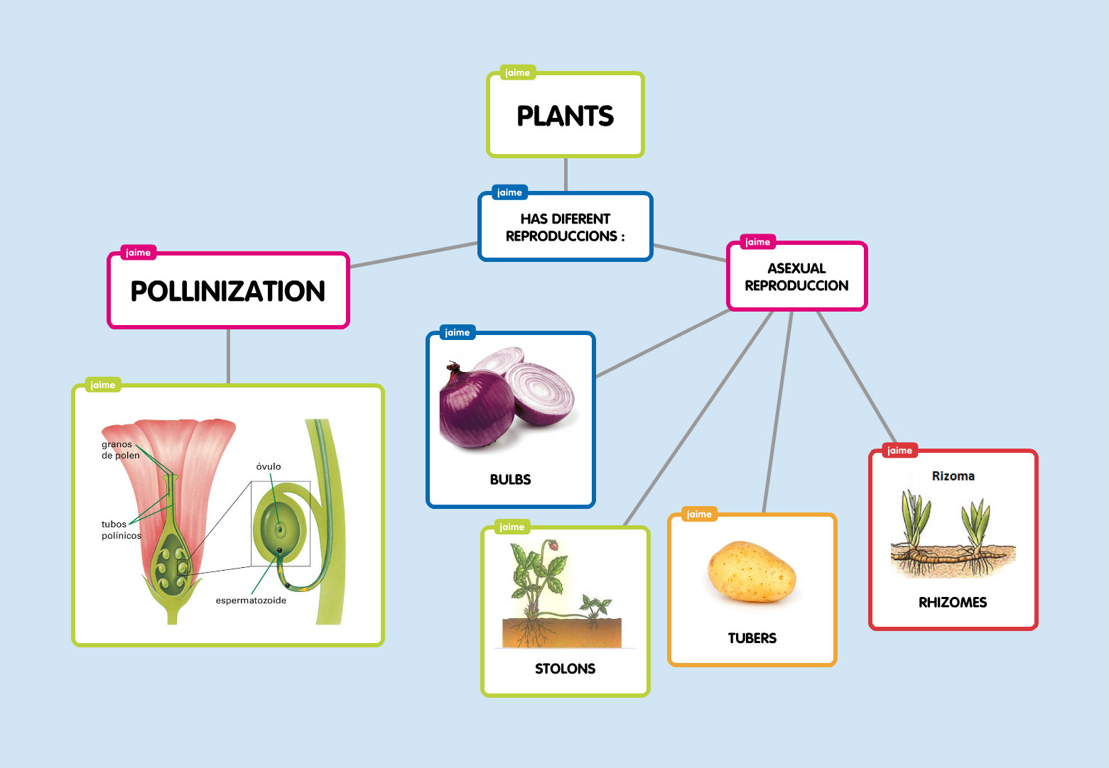 reproduction of a plant - Página web de worldplantkingdom