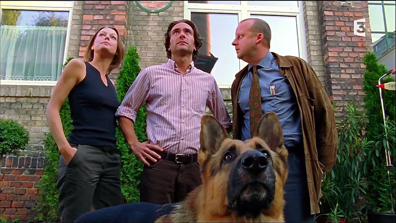 Galerie photos - Rex, chien flic