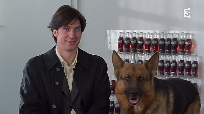 Galerie photos - Rex, chien flic