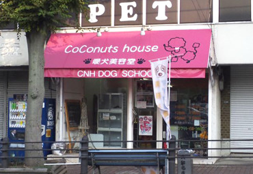 coconuts houseホームページ - coconuts-house ページ！