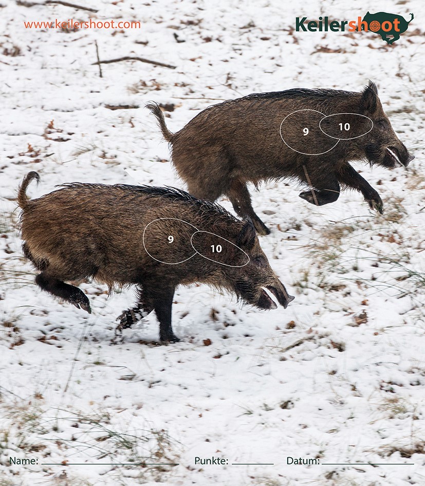 Pakete - Keilershoot Luftgewehr Schiessanlagen Air Rifle Shooting Gallery