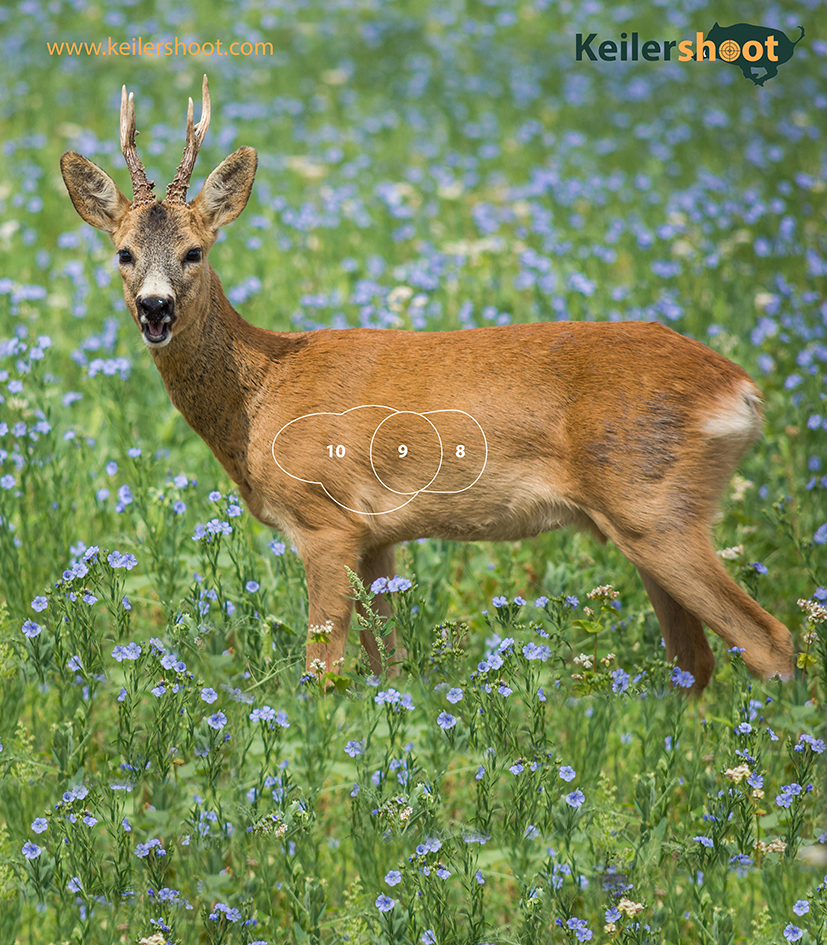 Pakete - Keilershoot Luftgewehr Schiessanlagen Air Rifle Shooting Gallery
