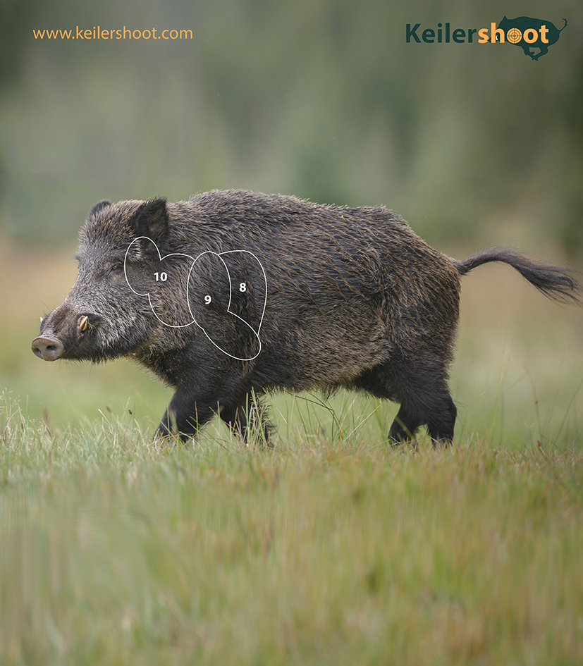 Zielscheiben/Paper targets - Keilershoot Luftgewehr Schiessanlagen Air ...