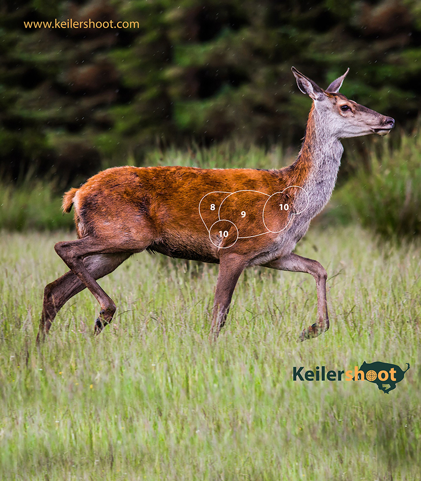 Pakete - Keilershoot Luftgewehr Schiessanlagen Air Rifle Shooting Gallery