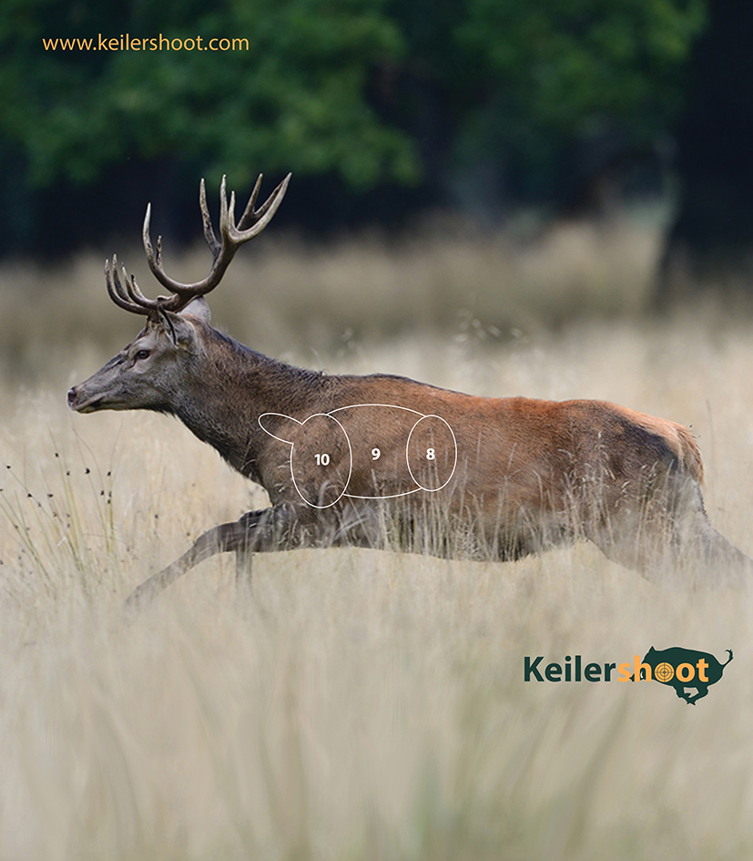 Pakete - Keilershoot Luftgewehr Schiessanlagen Air Rifle Shooting Gallery
