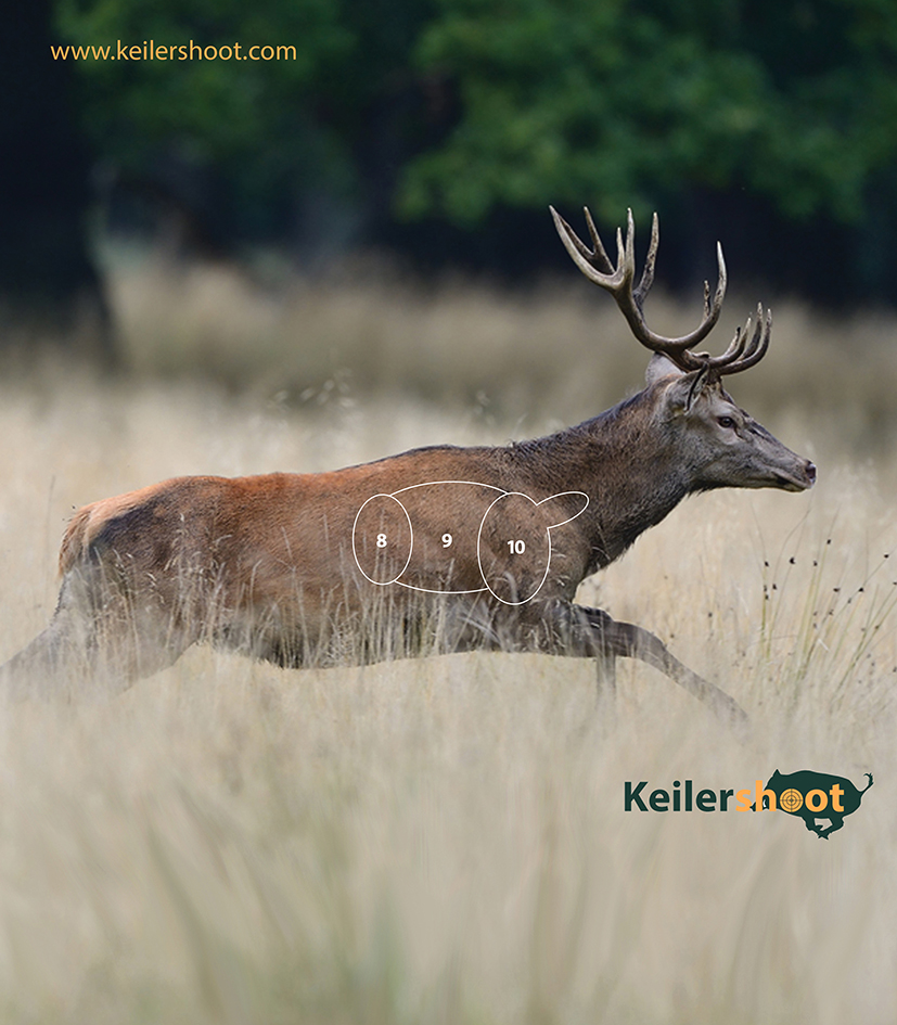Pakete - Keilershoot Luftgewehr Schiessanlagen Air Rifle Shooting Gallery
