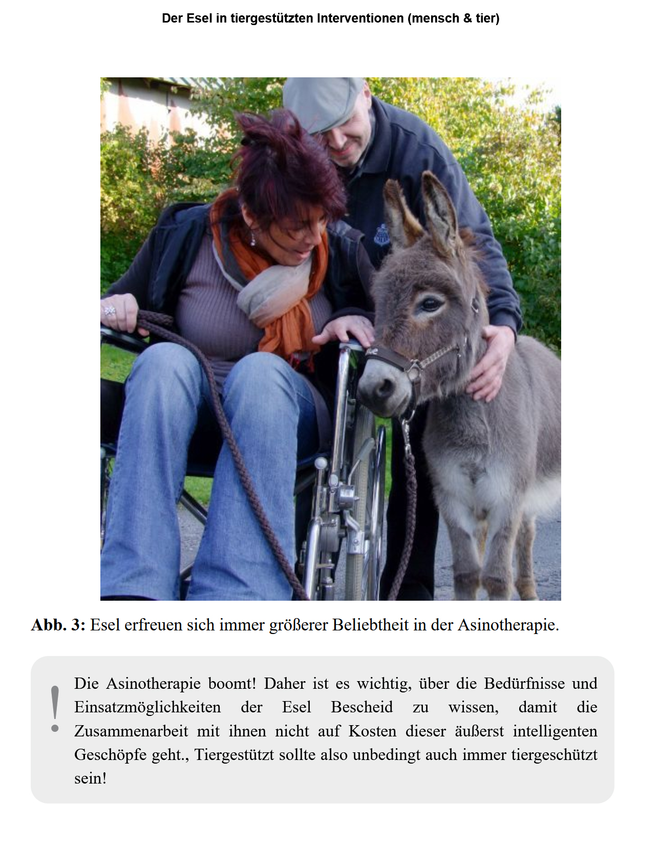 Der Esel in tiergestützten Interventionen - ESEL: Seminare, Training ...