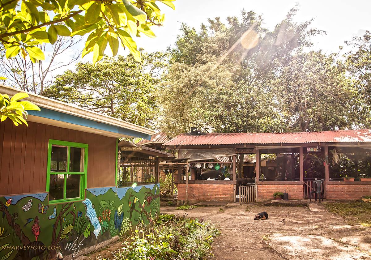 Welcome to the farm ! - Finca La Flor, Costa Rica