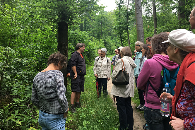 Exkursion Aaper Wald - NABU Düsseldorf
