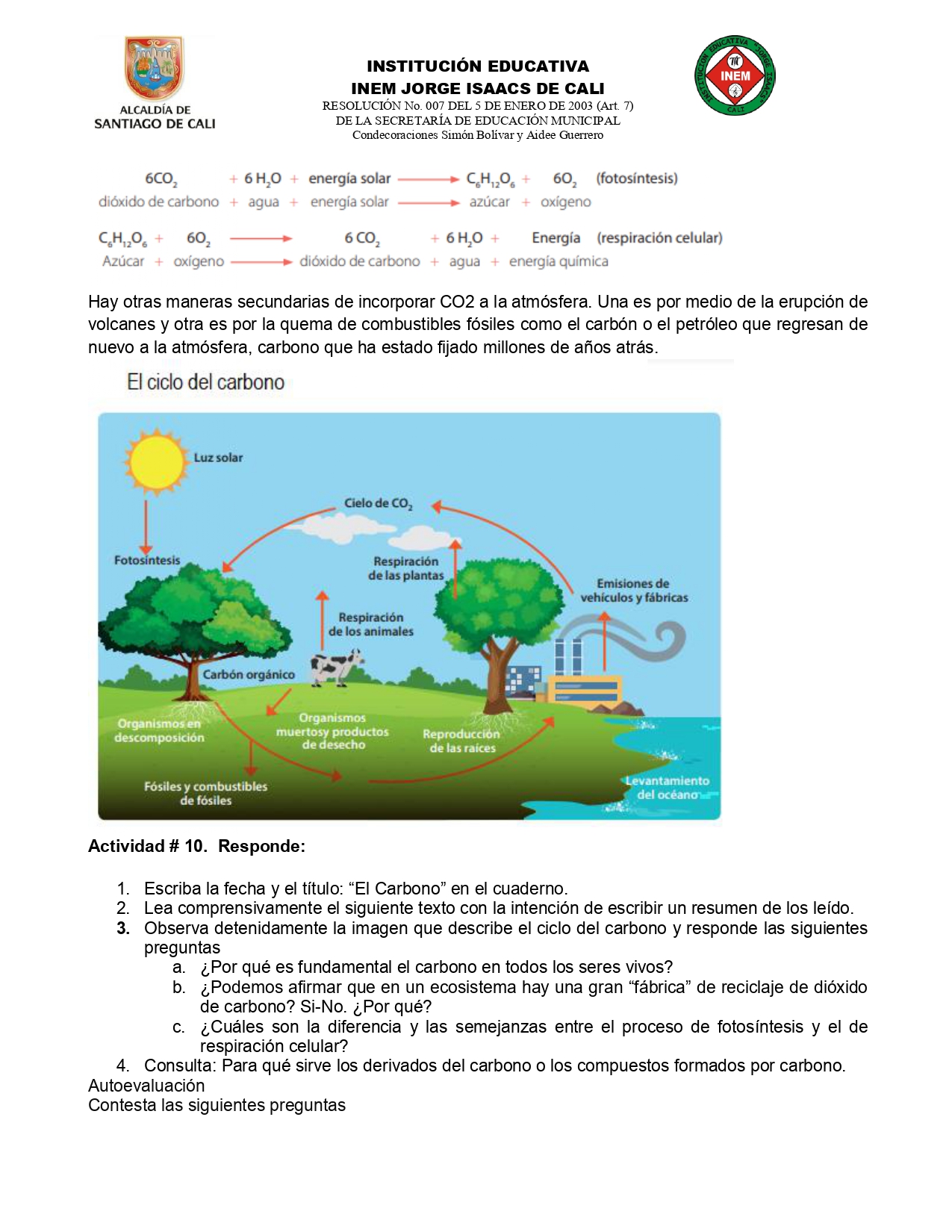 Actividad 10. Ciclos biogeoquímicos - El carbono - Página web de inem ...