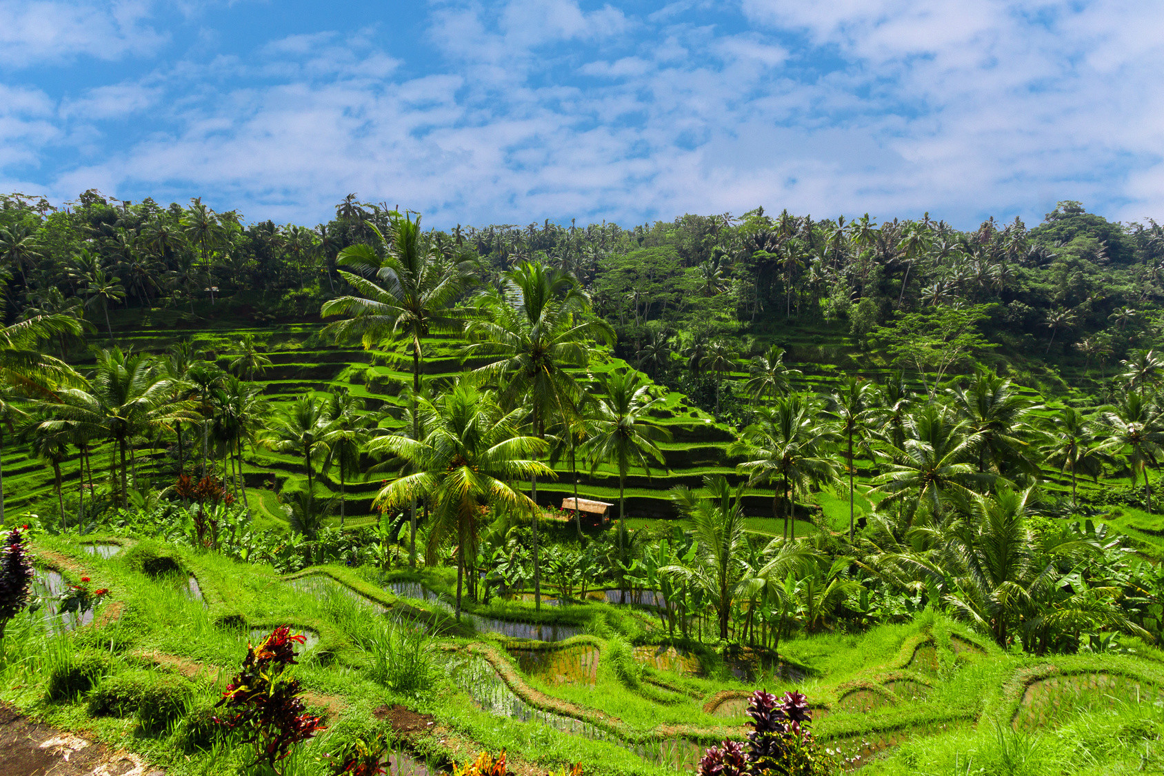 Backpacking in Indonesien: Unterwegs auf Java, Bali, Lombok & Gili ...