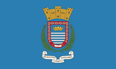 Bandera de Naguabo - BanderasBoricuas.com - El Hogar de las Banderas de ...