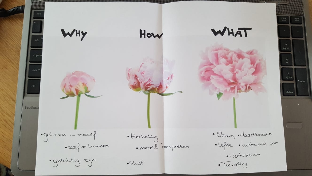 Crea-plan - De website van mijncreatievereis!