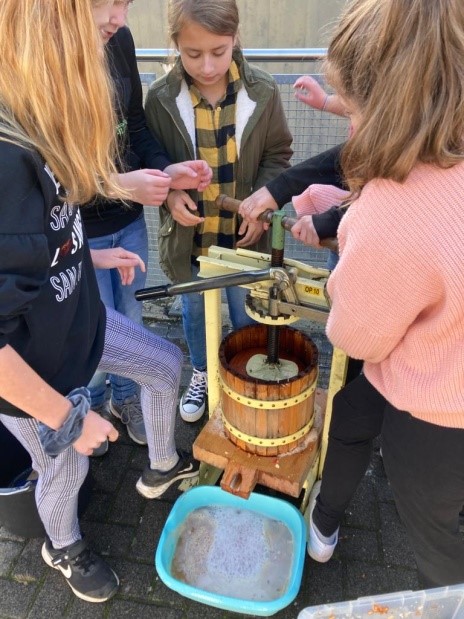 Start - Mandelbachtalschule