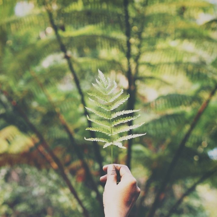 Hanger rond met blad - Corina Rietveld Sieraden