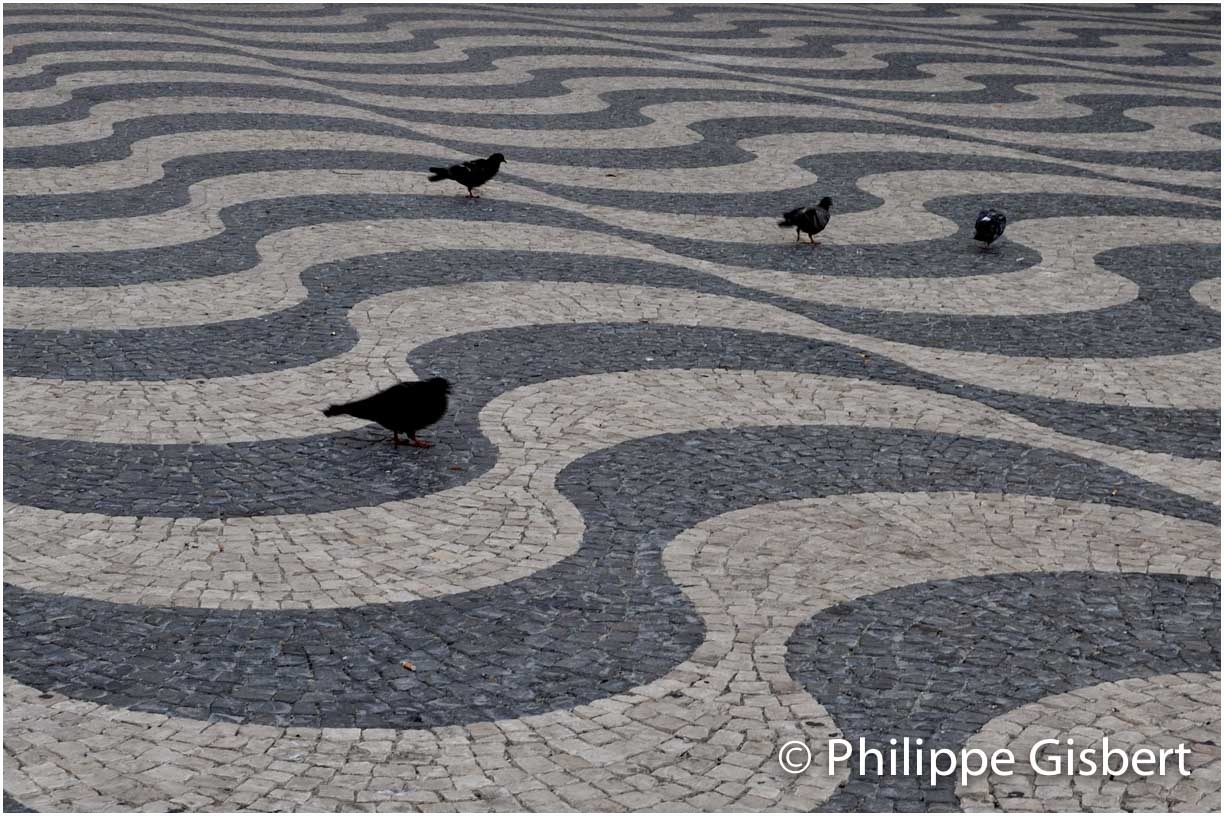 Graphisme urbain - Philippe Gisbert Photographie