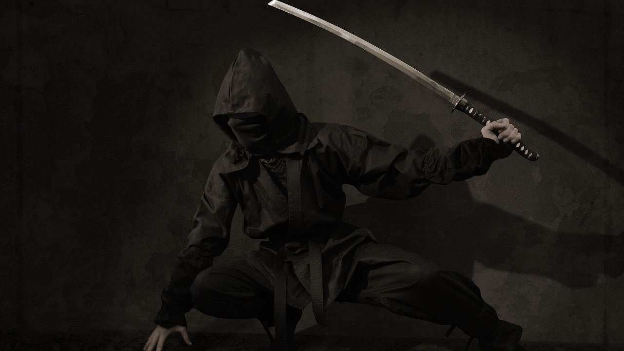 Unmasking the myth: The true history of ninjas - History Skills