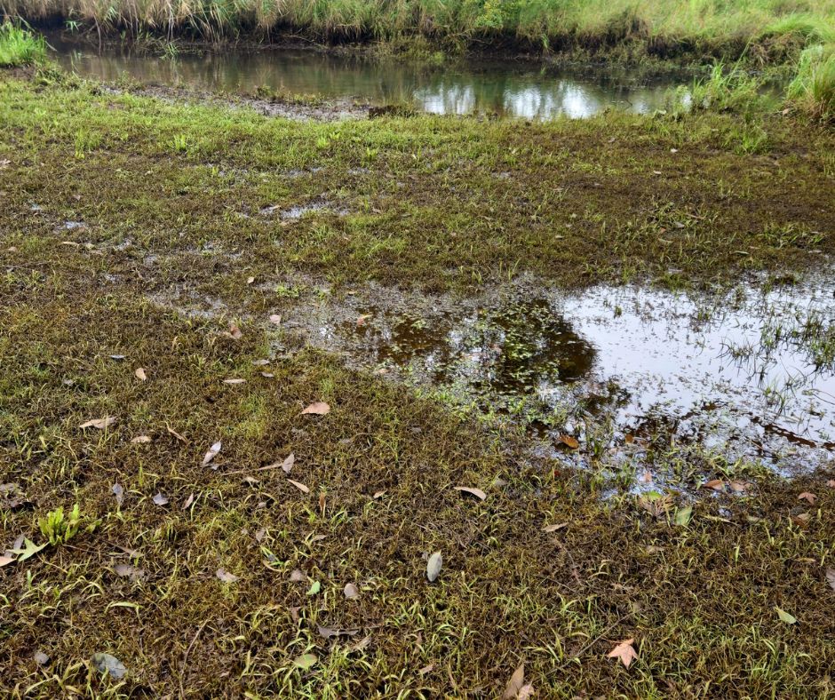 Tollund Man: A glimpse into the past through the world's most famous ...