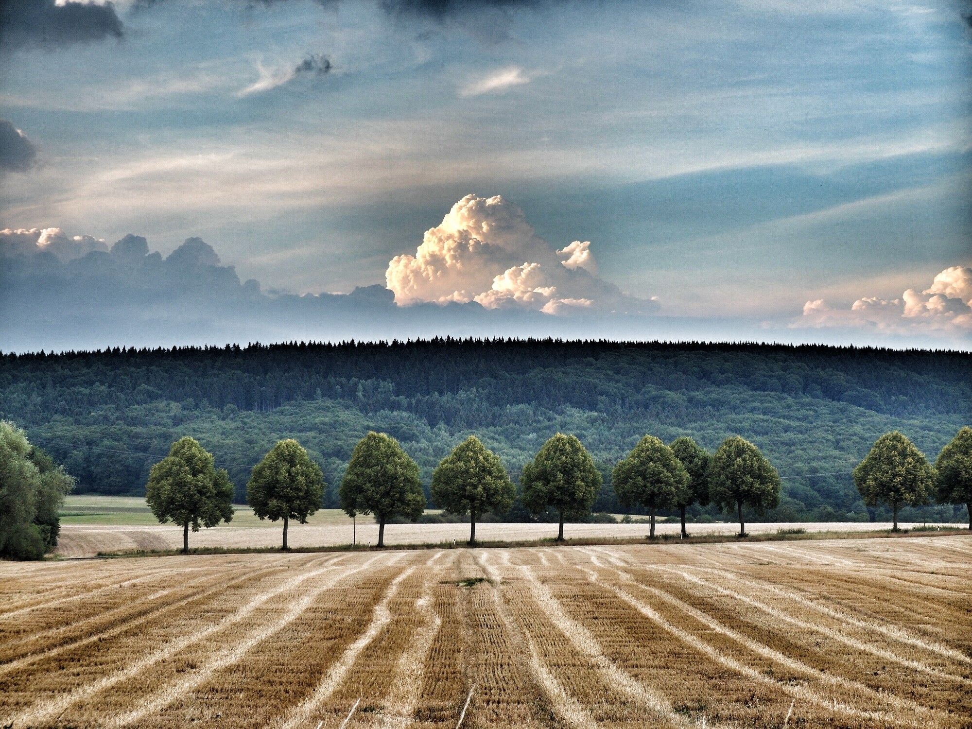 Facharztpraxis für Neurologie - Dr. med. Frank Romanowski
