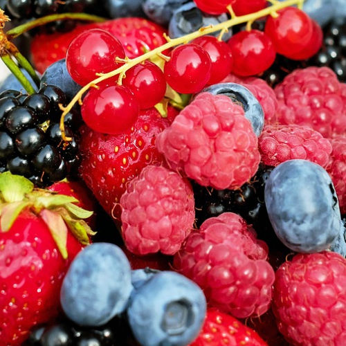 S. Katzman Produce - Home