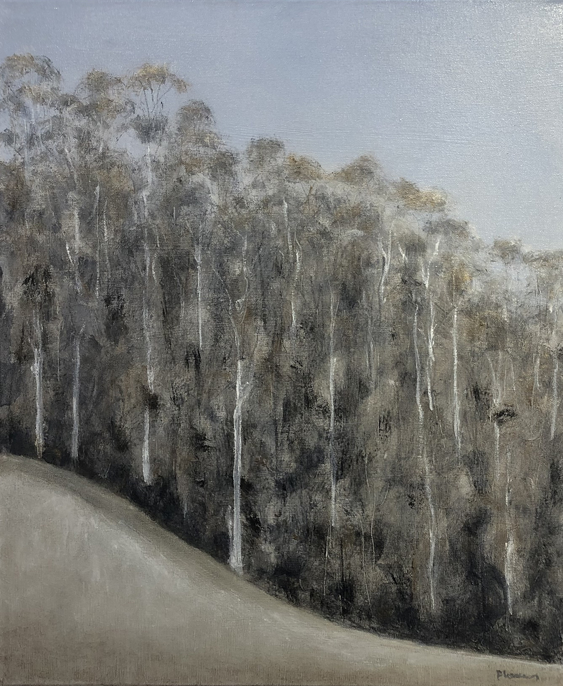 Home - Stunning Oil Paintings - Jane Flowers Artist