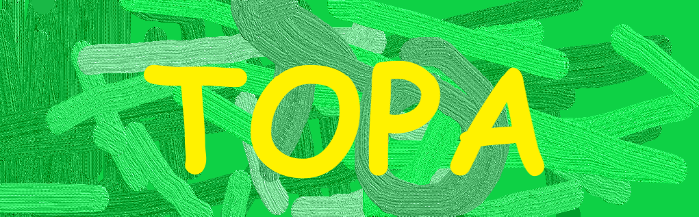 SHOP - topa-webs Webseite!