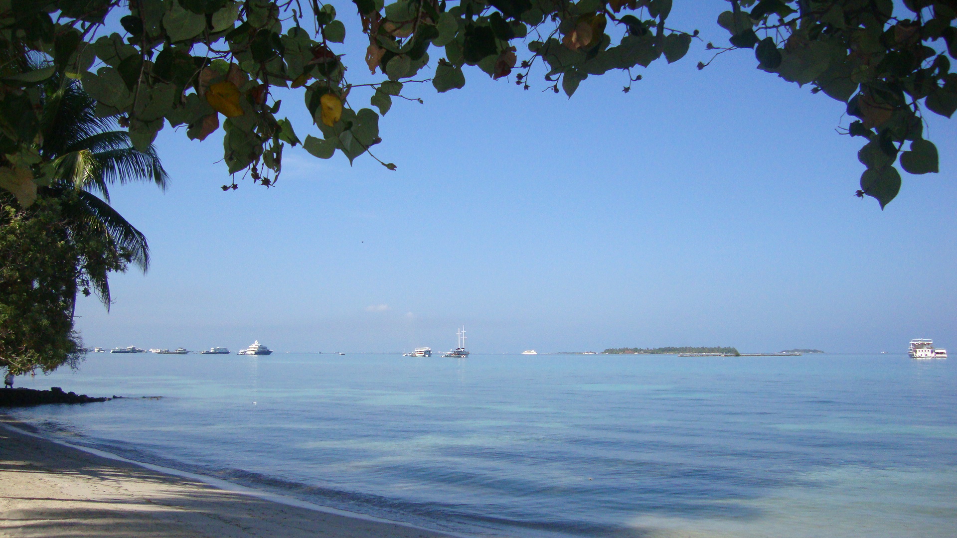 Service 1 - Site de tourdumondeplongee