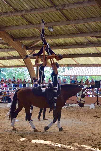 ÉCOLE DE VOLTIGE - Site de poneyaventure