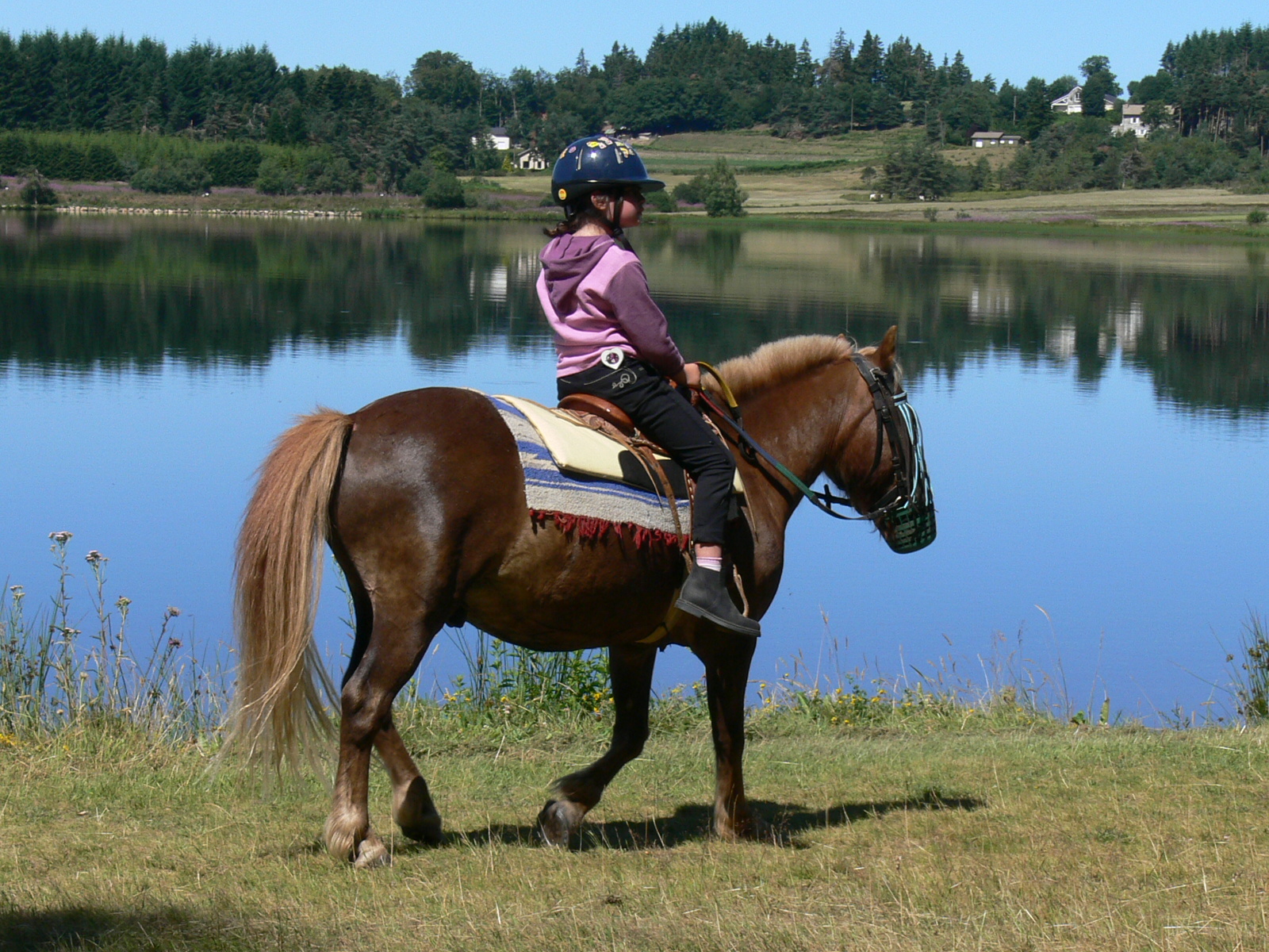 L'aventure à poney.... - Site de poneyaventure