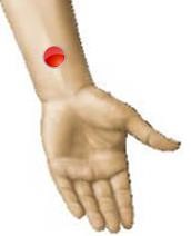 8.5 AKUPUNKTUR Perikard 6 - Pe6 - QIONIQ Gesundheit und Sport